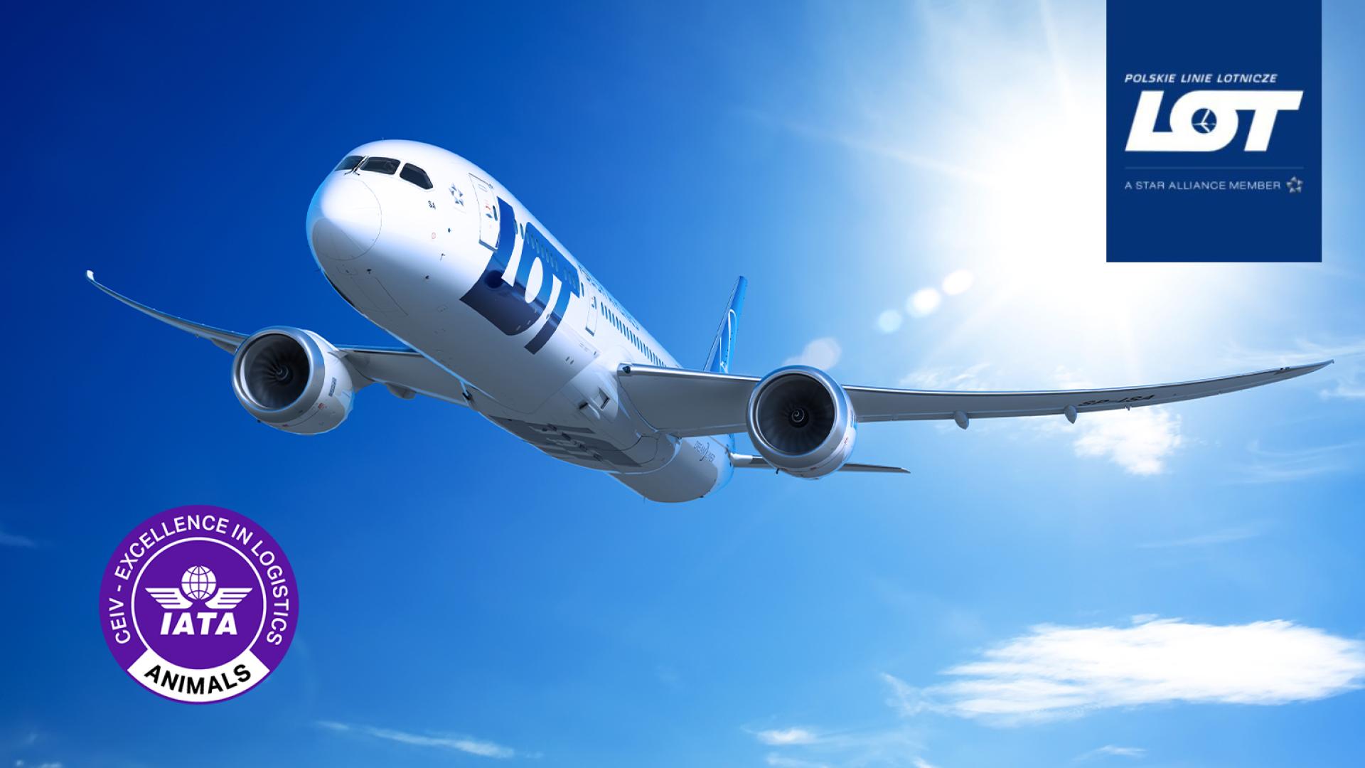 Polskie Linie Lotnicze LOT z pełną koroną certyfikatów IATA CEIV ...